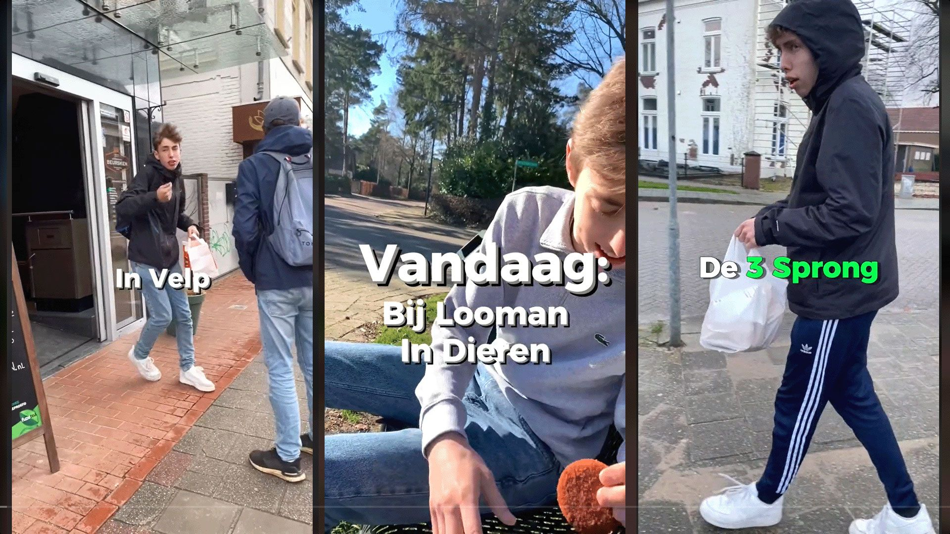 Bamischijfdeskundoloog controleert bamiballen - Streeknieuws