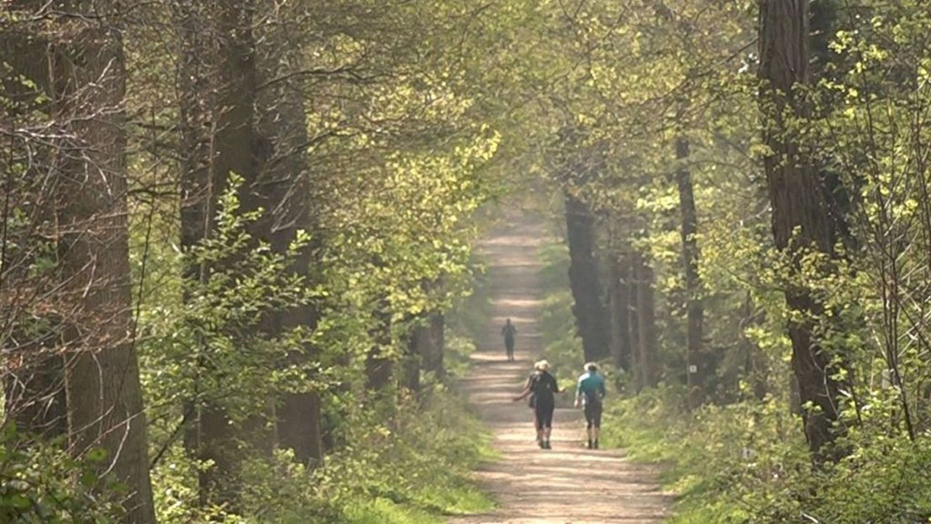 Stilte- of rustgebieden? Dit zijn de regels in de natuur - Streeknieuws