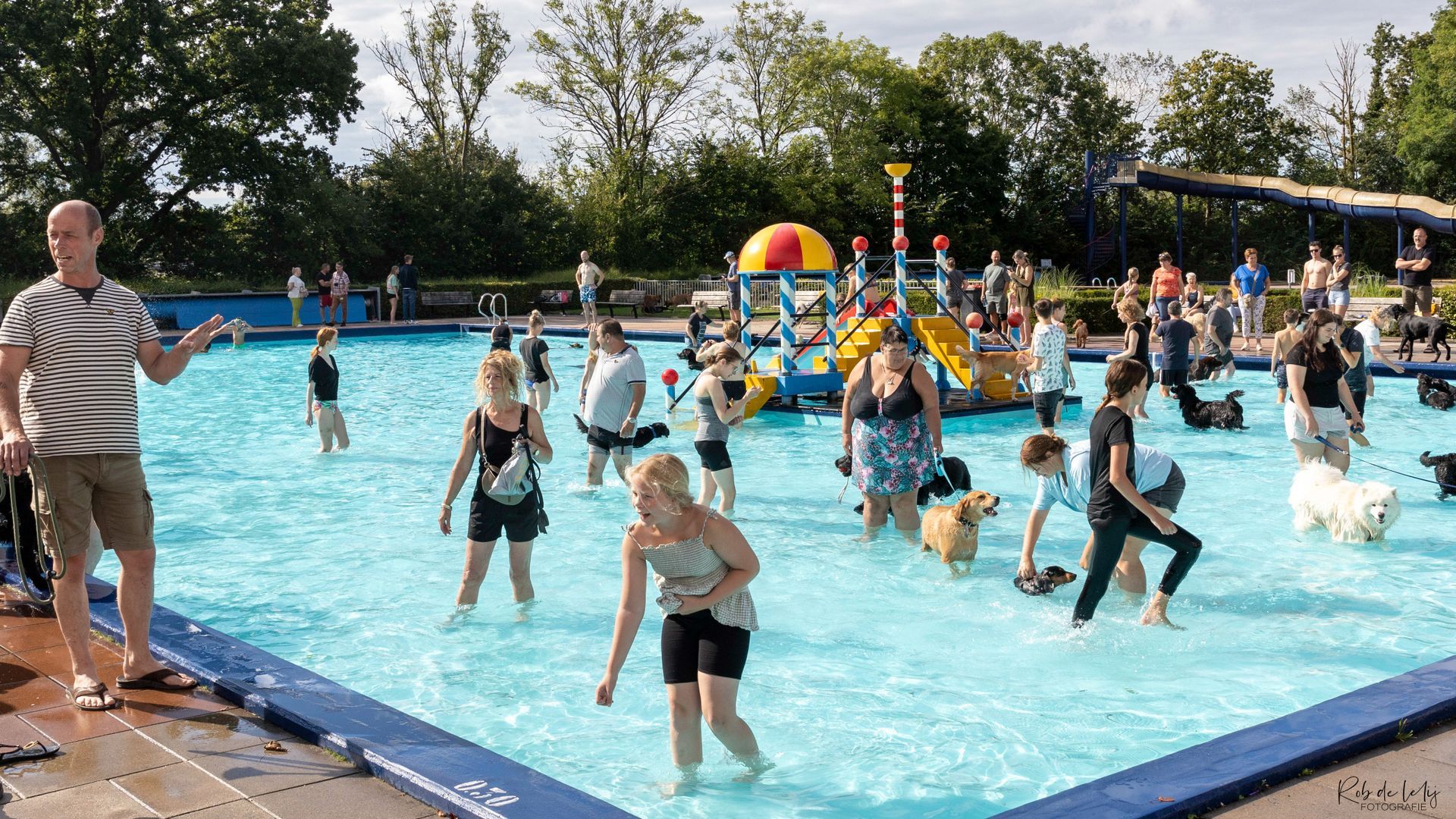 Hondenplons: viervoeters maken het familiebad onveilig… op een leuke ...